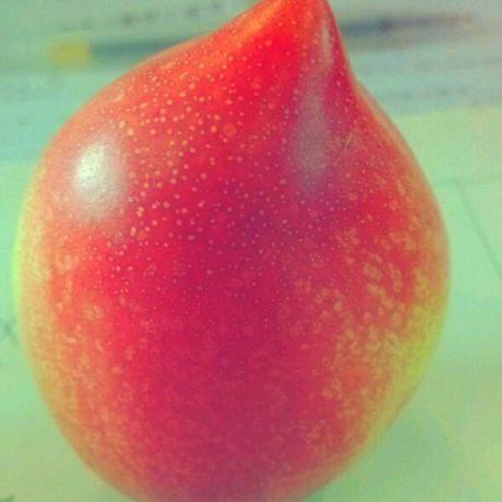 Data 数据展示 - Card 卡片 - 《Element Plus v2.2 教程》 - 书栈网 · BookStack