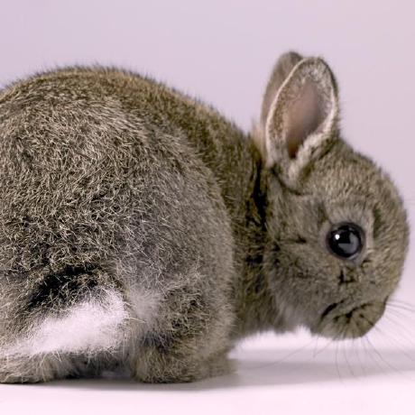 Navigation 导航 - Page Header 页头 - 《Element Plus v2.2 教程》 - 书栈网 · BookStack