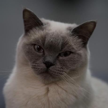 Data 数据展示 - Empty 空状态 - 《Element Plus v2.2 教程》 - 书栈网 · BookStack