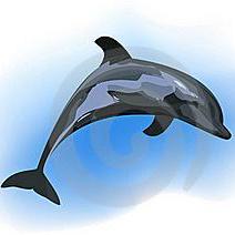 Form 表单组件 - Virtualized Select 虚拟化选择器 - 《Element Plus v2.2 教程》 - 书栈网 · BookStack