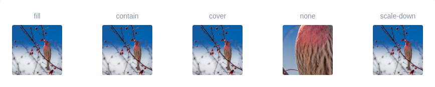 数据组件 Data - Avatar 头像 - 《ElementUI v2.11 使用手册》 - 书栈网 · BookStack